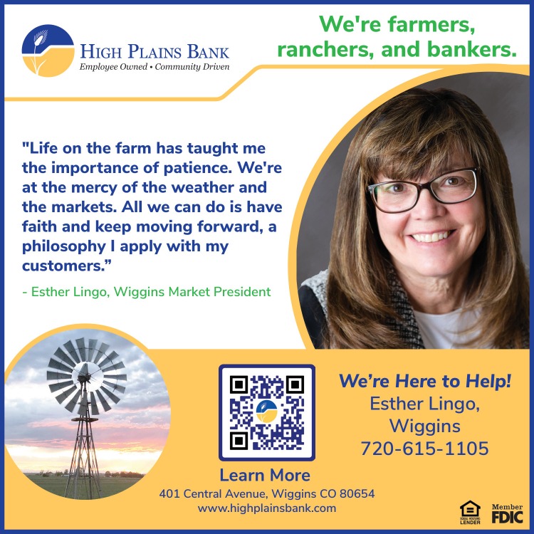 Wiggins Branch › High Plains Bank